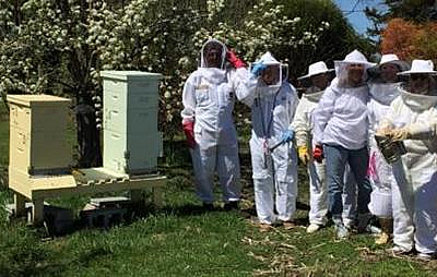 Beekeeping Class Forms Beekeeping Club - Osher Lifelong Learning Institute