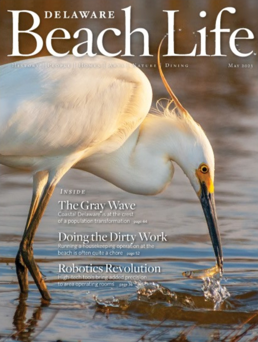 UD by the Sea featured in 'Delaware Beach Life' - Osher Lifelong ...